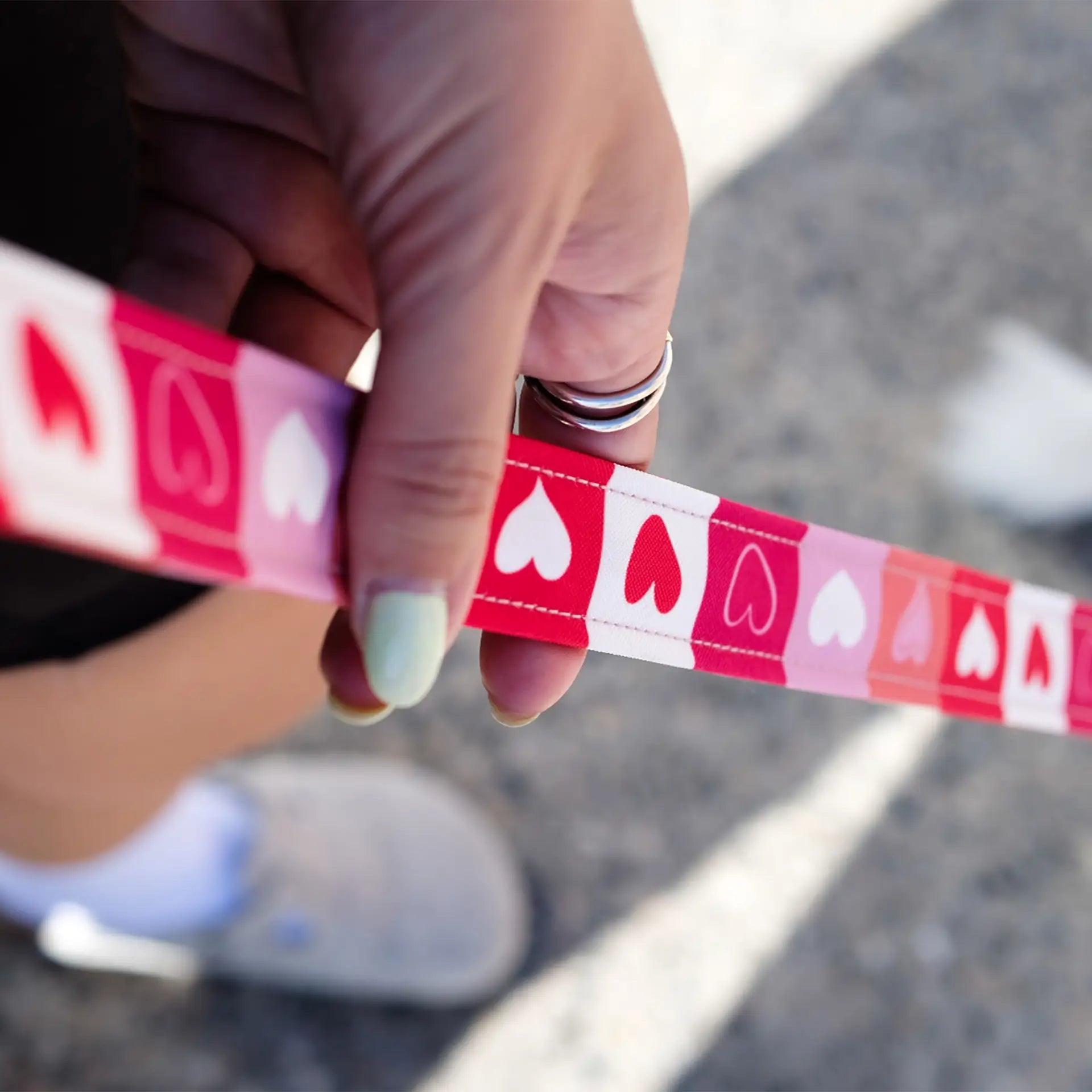 MATCHING LEASHES – WILD BARKS